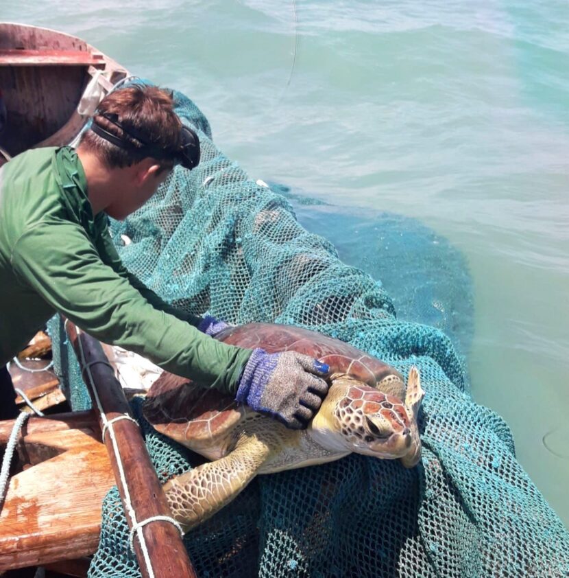 Home - The Turtleman Foundation