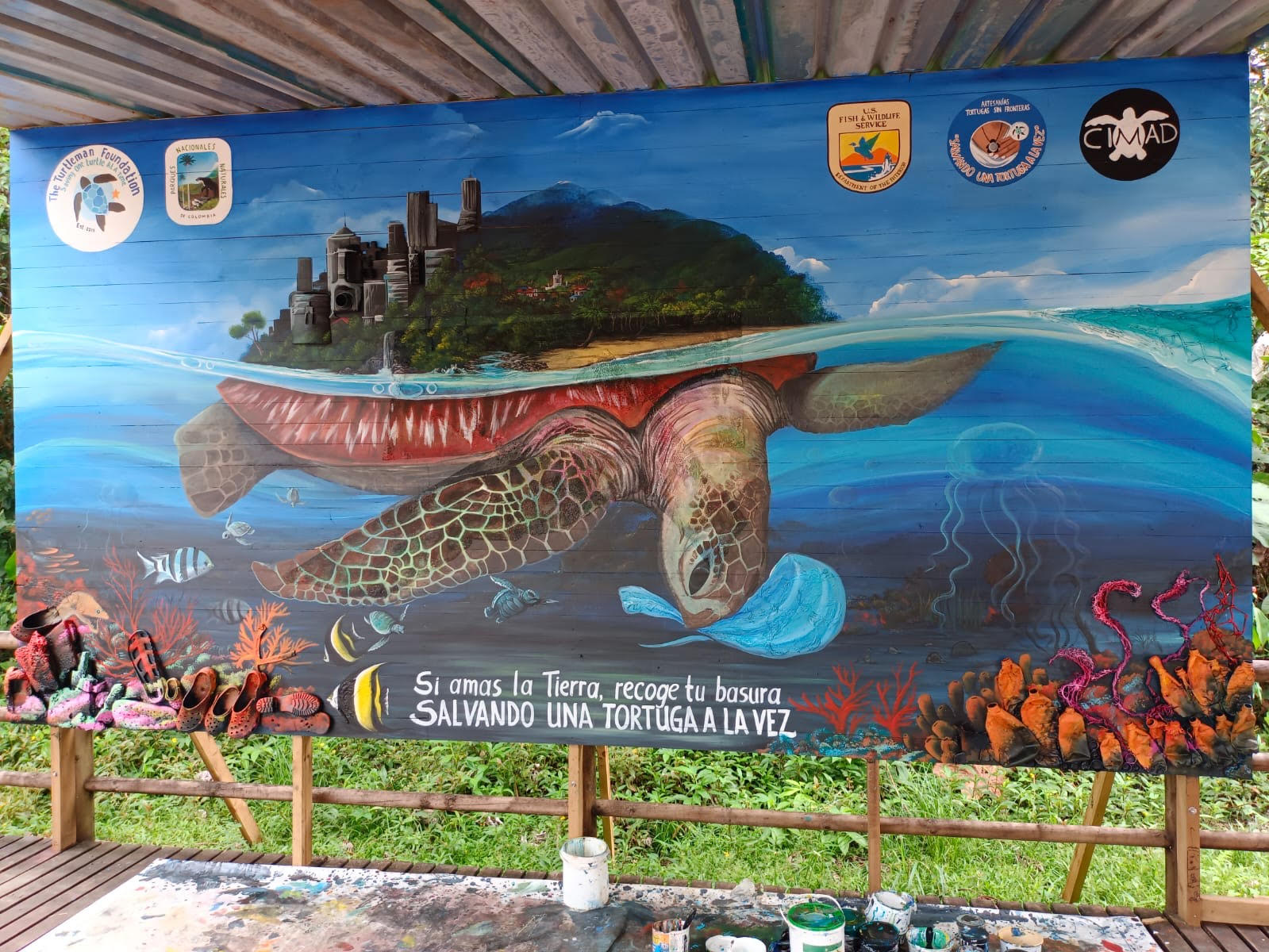 Utría Natural National Park – Chocó, Colombia - The Turtleman Foundation